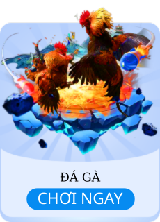 đá gà 888new